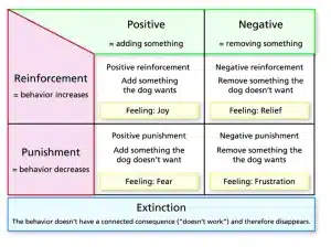 Skinner’s theory of ‘operant conditioning’ applied to microlearning!